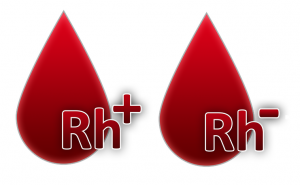 The Rh Blood Group System: Are You Positive? - Med Lab Study Hall