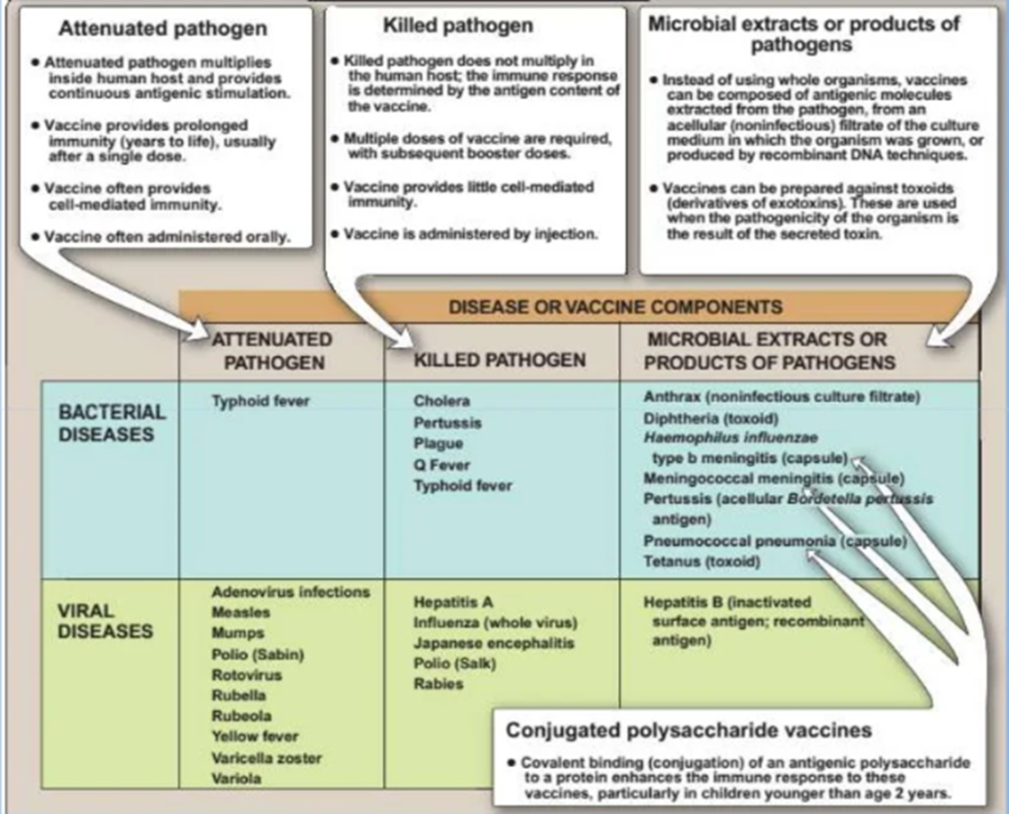 A Brief Introduction to Immunity and Immune Response - Med Lab Study Hall
